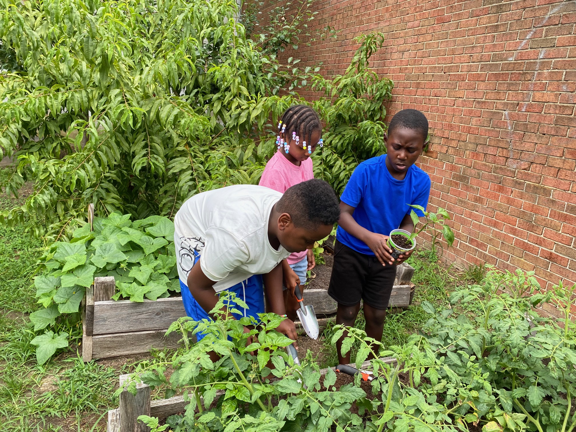 Our Summer Program - Cambridge Empowerment Center